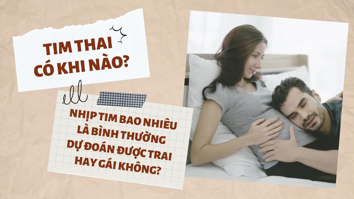 Tim thai có khi nào? Nhịp tim thai nhi bao nhiêu là bình thường? Biết ...